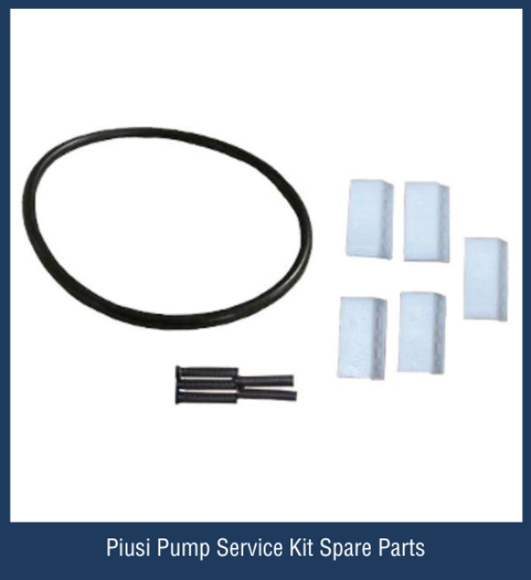 Prevent downtime and hassle with Piusi Pump Service Kits | CTS